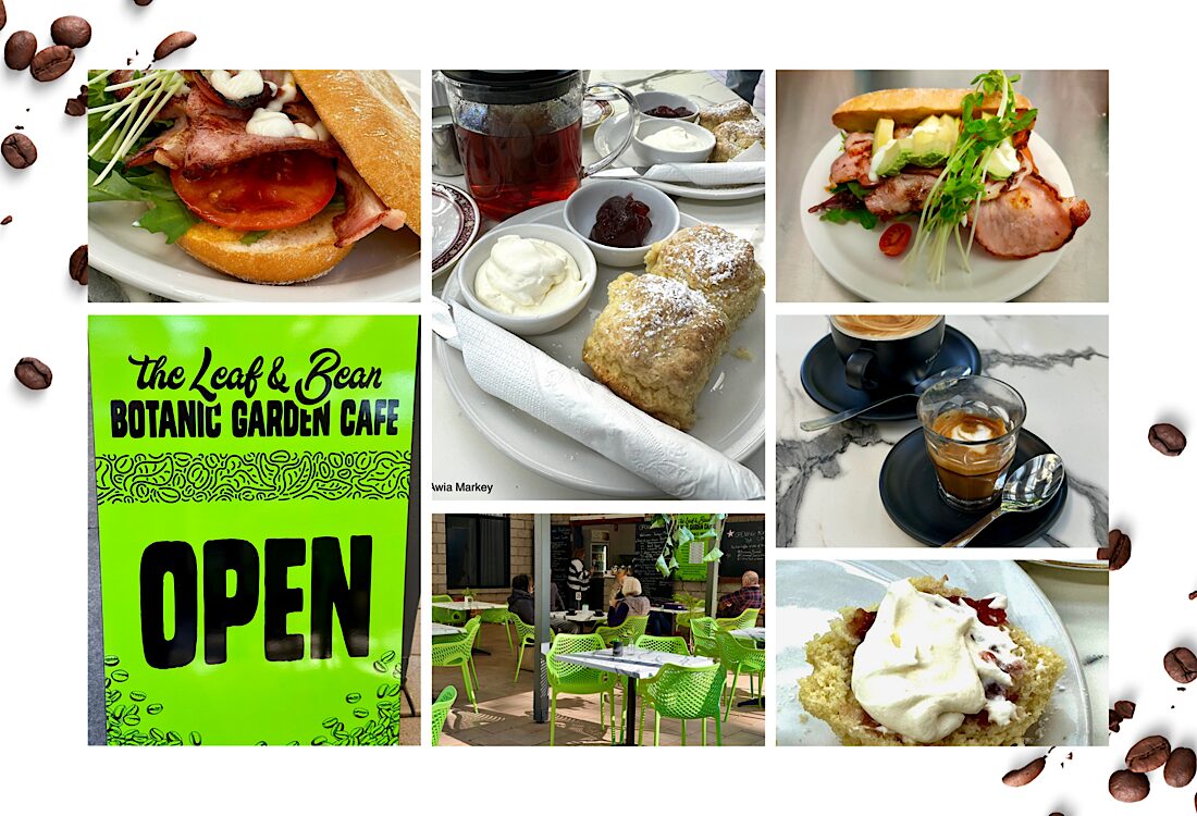 The Leaf & Bean Cafe - North Coast Regional Botanic Garden